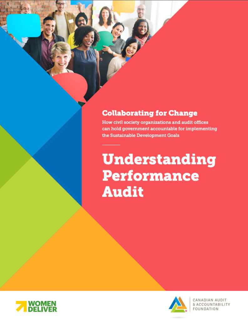 Understanding Performance Audit – Women Deliver